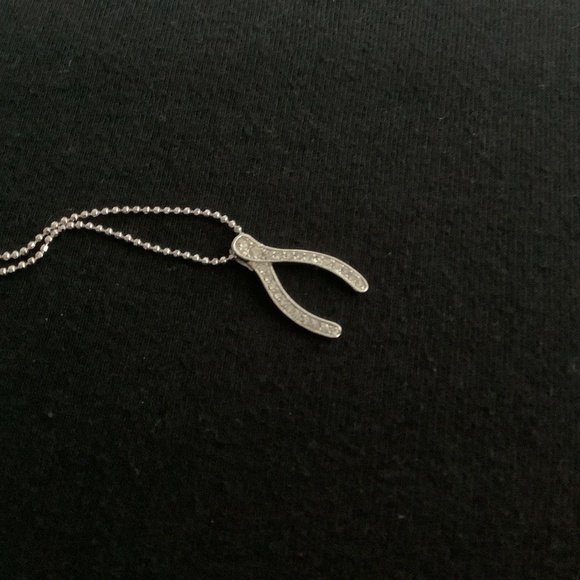 Cool Jewels | Jewelry | Silver Wishbone Necklace | Poshmark
